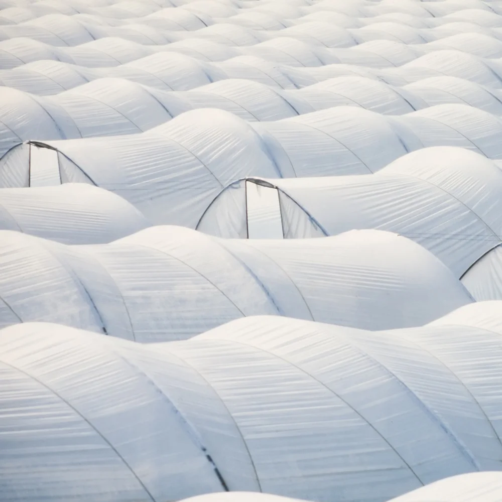 Advanced UV Stabilization Solutions - A&D International Trading