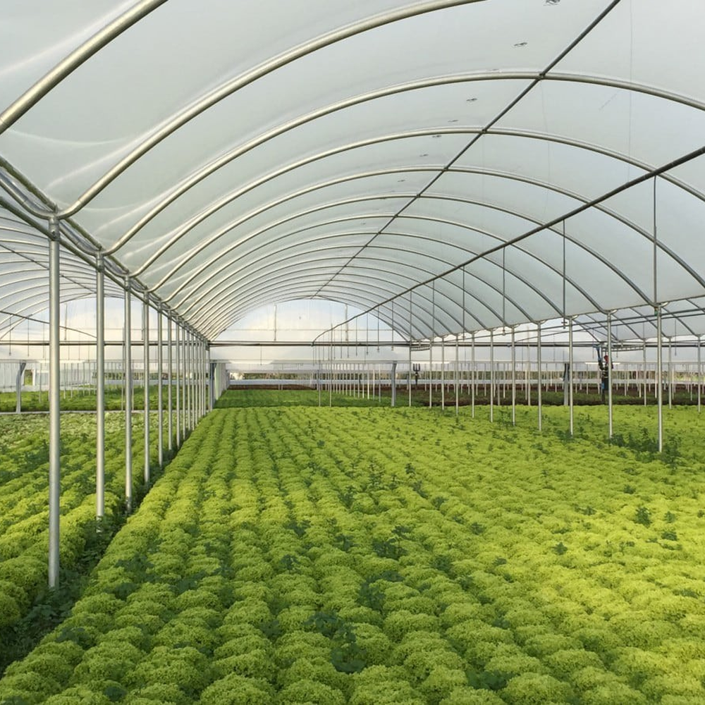 Eco-Friendly Bio-Compostable Plastics - A&D International Trading